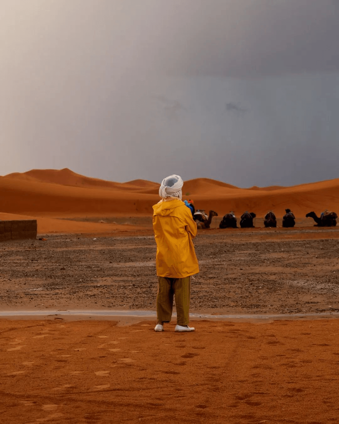 Morocco Trekking: Best Places For Trekking In Morocco 2024