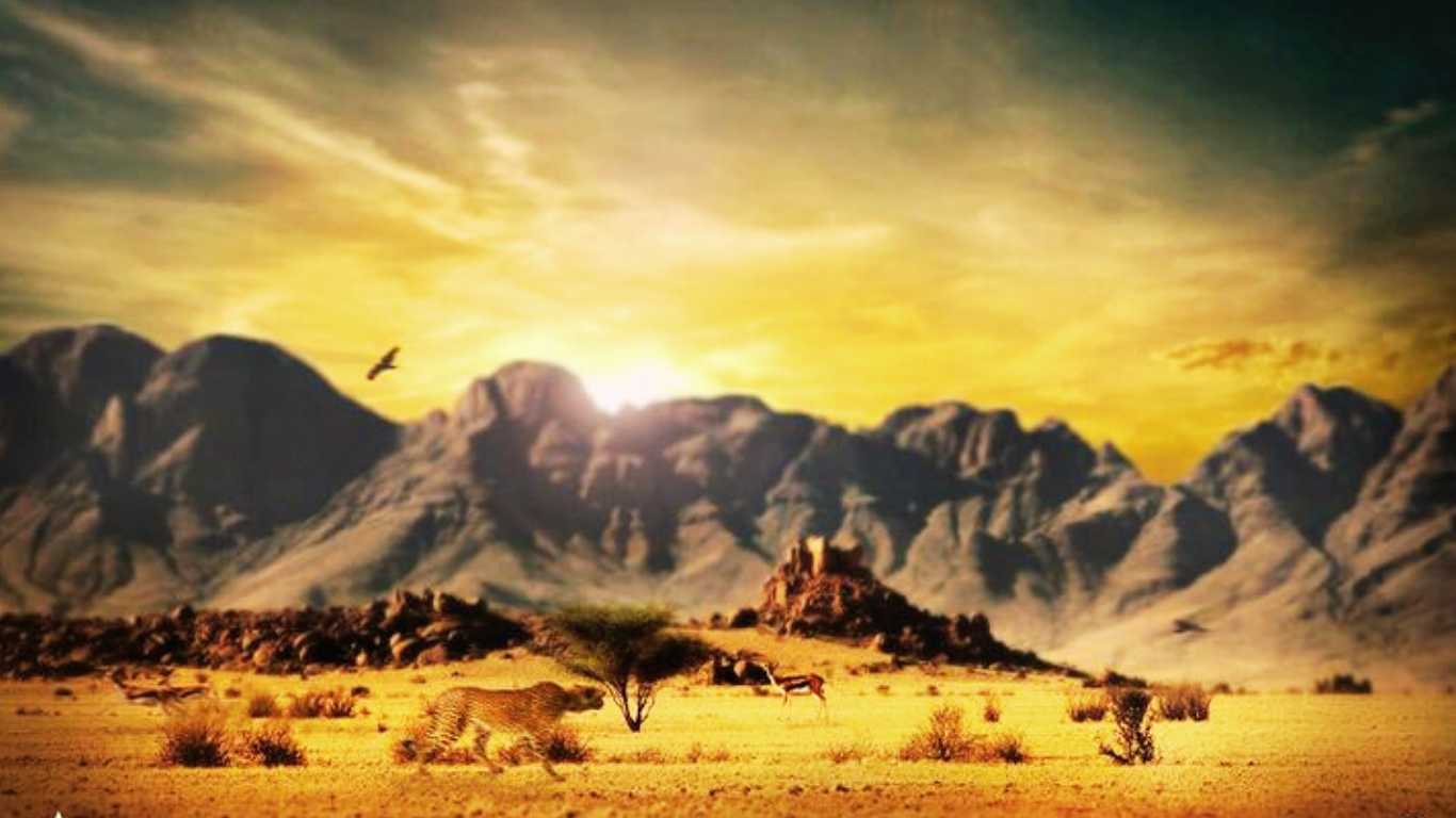 Exploring the Wildlife of the Desert: A Journey Through Nature’s ...