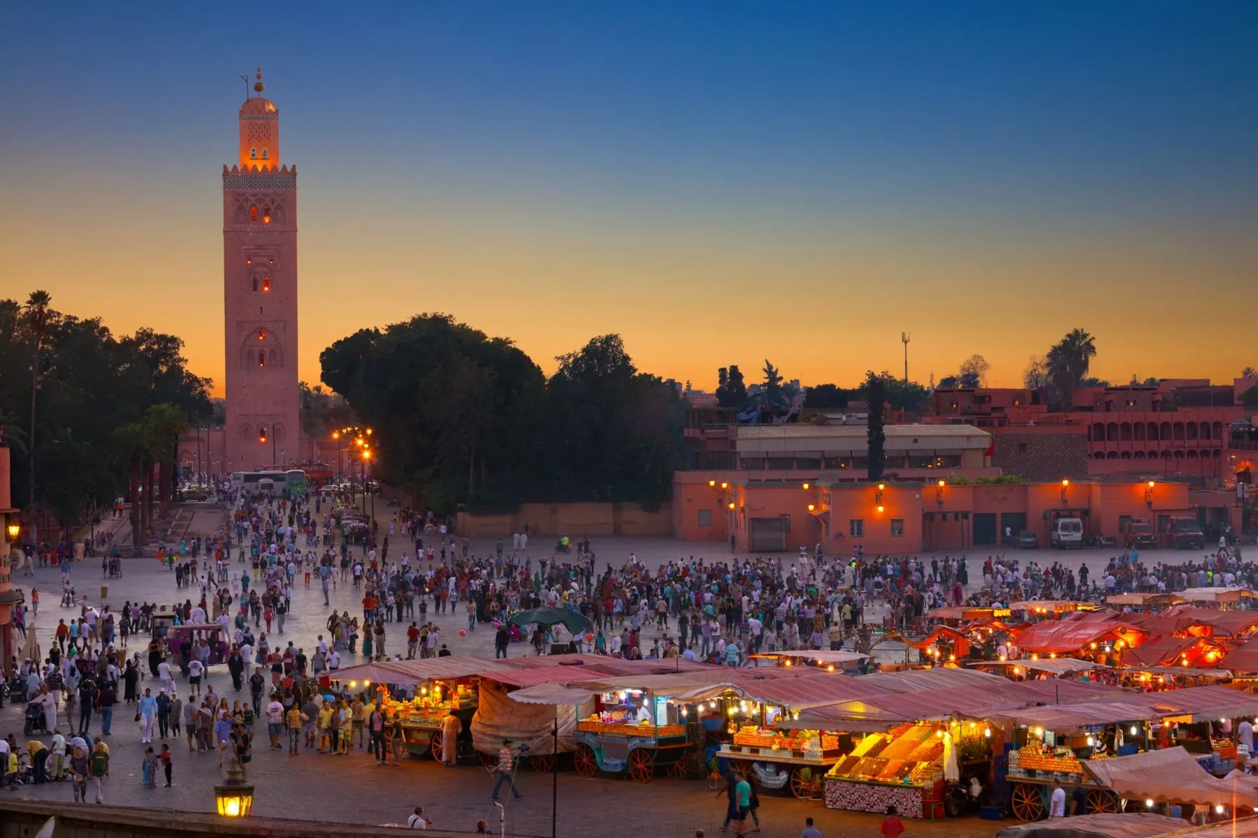 Marrakech in February | Winter Travel Guide 2026